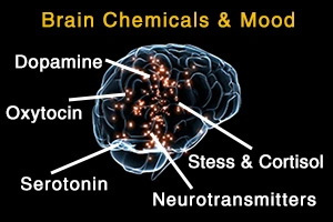 ProVanax™ - Improve Positive Mood & Reduce Negative Feelings In 2025 By ...